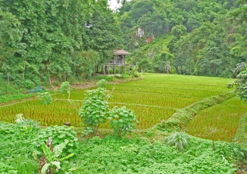 About Chiang Rai - House Chiang Rai