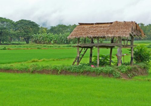 About Chiang Rai - House Chiang Rai